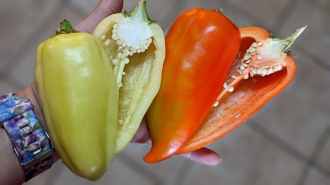 Amanda Sweet Pepper - Etsy