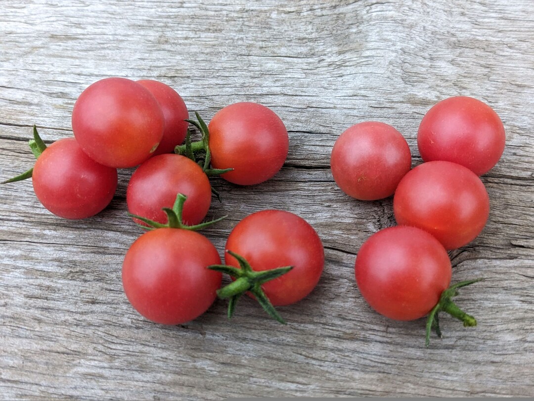 Rose Quartz Cherry Tomato - Etsy