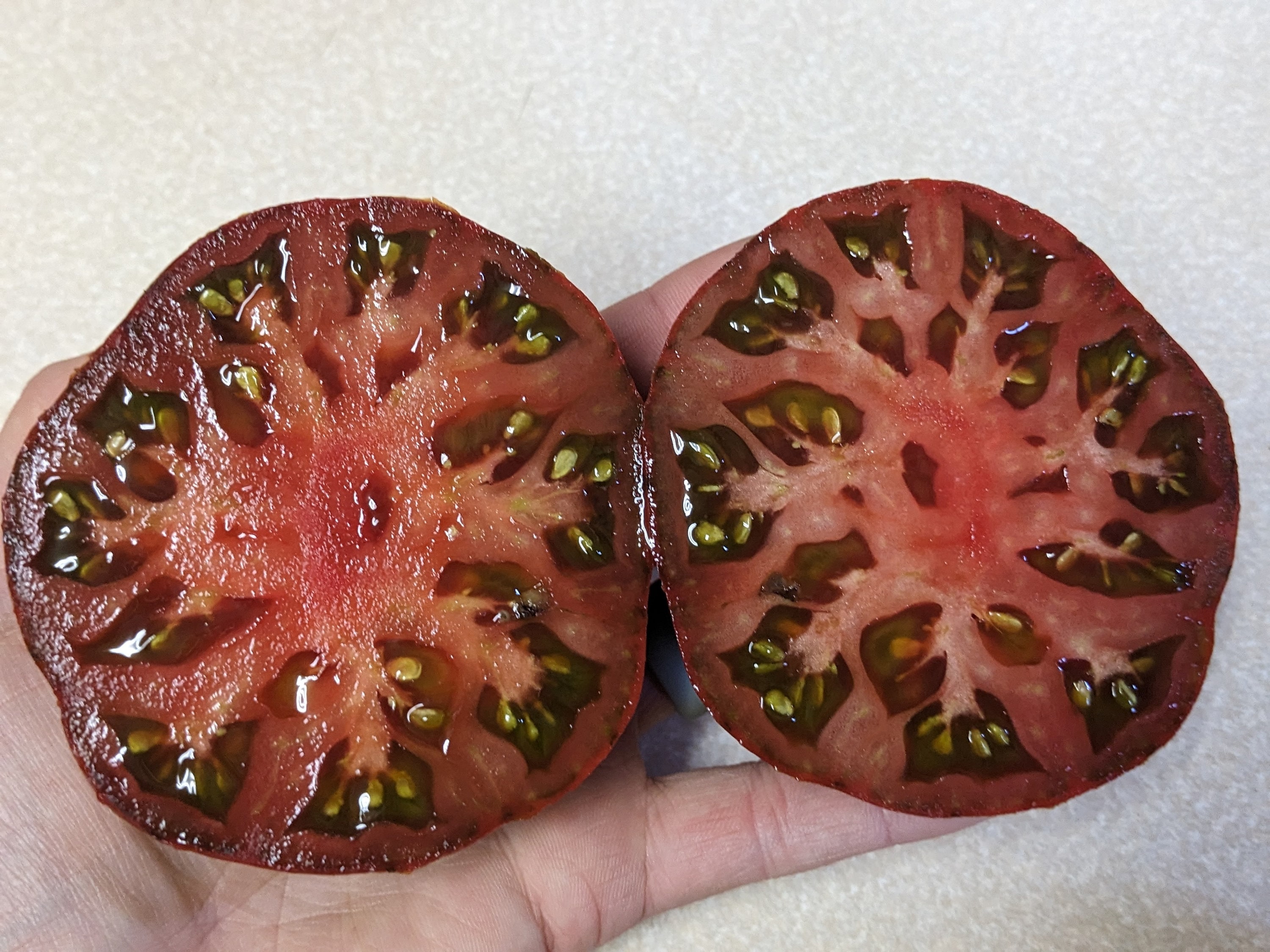 Abraham Brown Tomato - Etsy