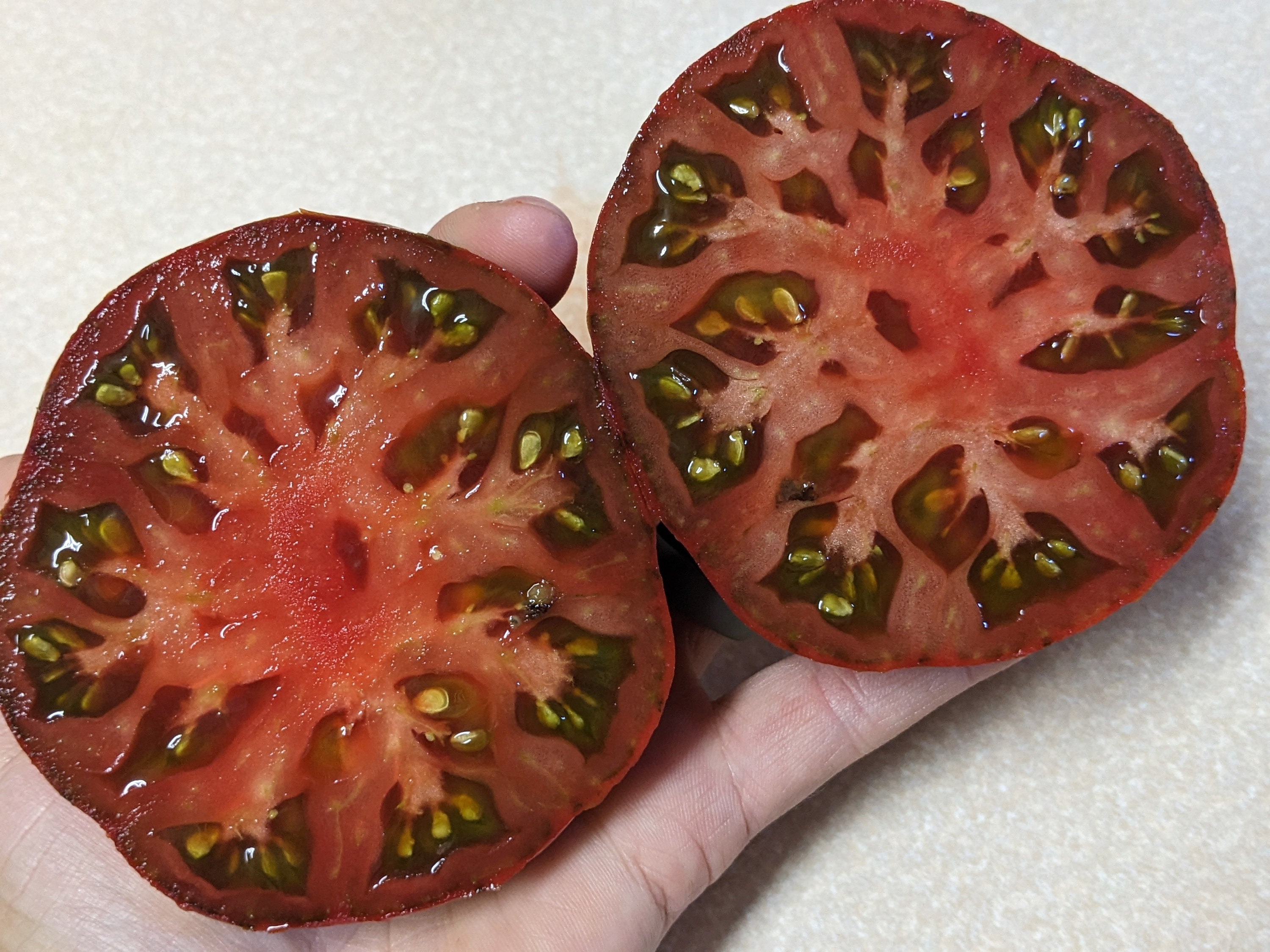 Abraham Brown Tomato - Etsy