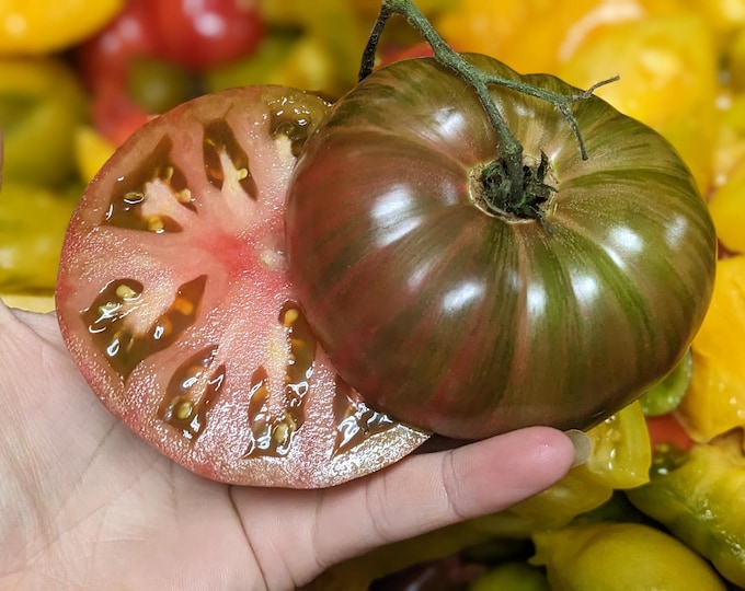 Dwarf Chocolate Lightning Tomato - Etsy