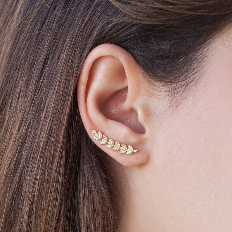 Spannende Gold Ear Climbers Bild