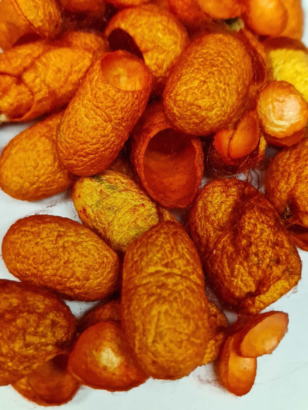 Red Mulberry Silk Cocoons X 20 / Hand Dyed Mulberry Cocoons / Blood Red ...