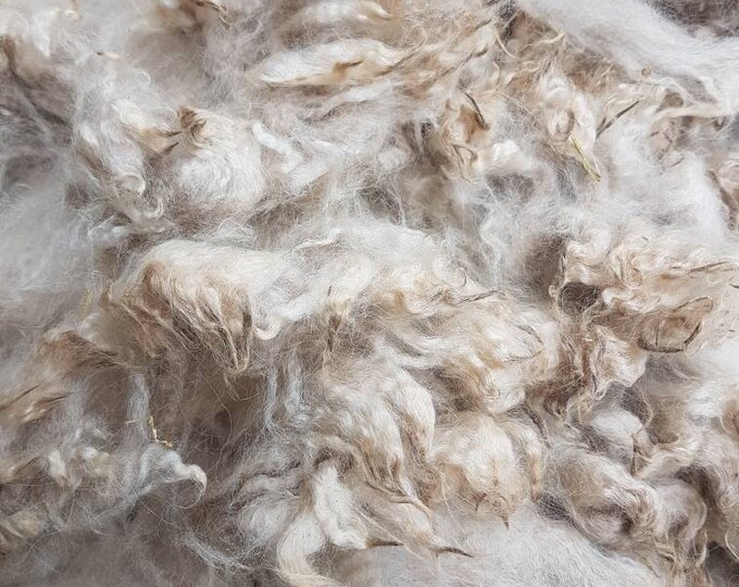 Whole Baby Alpaca Fleece / Fawn White Alpaca / Grey Alpaca / Cream ...