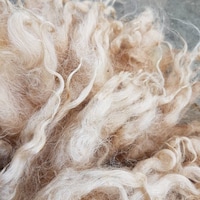 Raw Wool Lincoln Longwools Natural Colored - Etsy UK