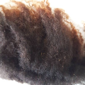 Raw Soay Sheep Fleece / 100g Chocolate Fleece / Rare Breed / Spinning ...