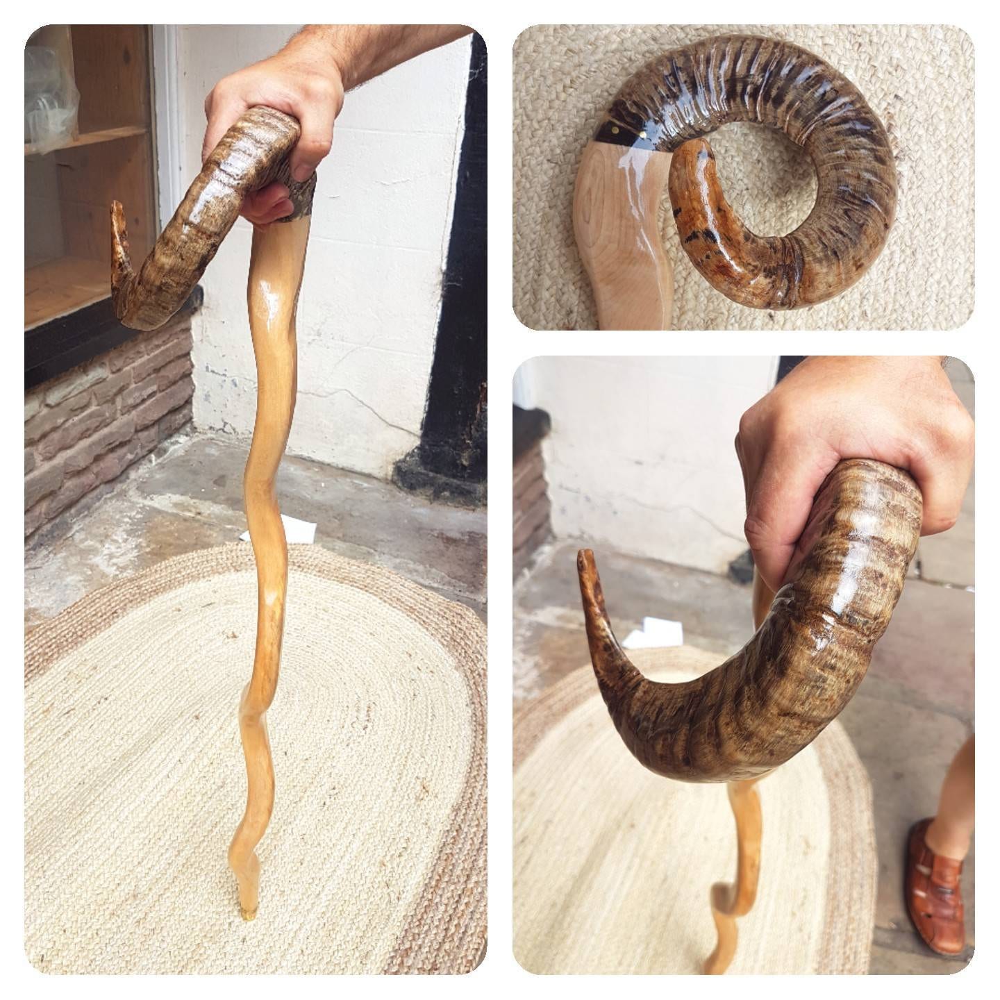 Ram Horn Walking Stick / Ram Horn Cane / Rams Horn Staff / - Etsy Canada
