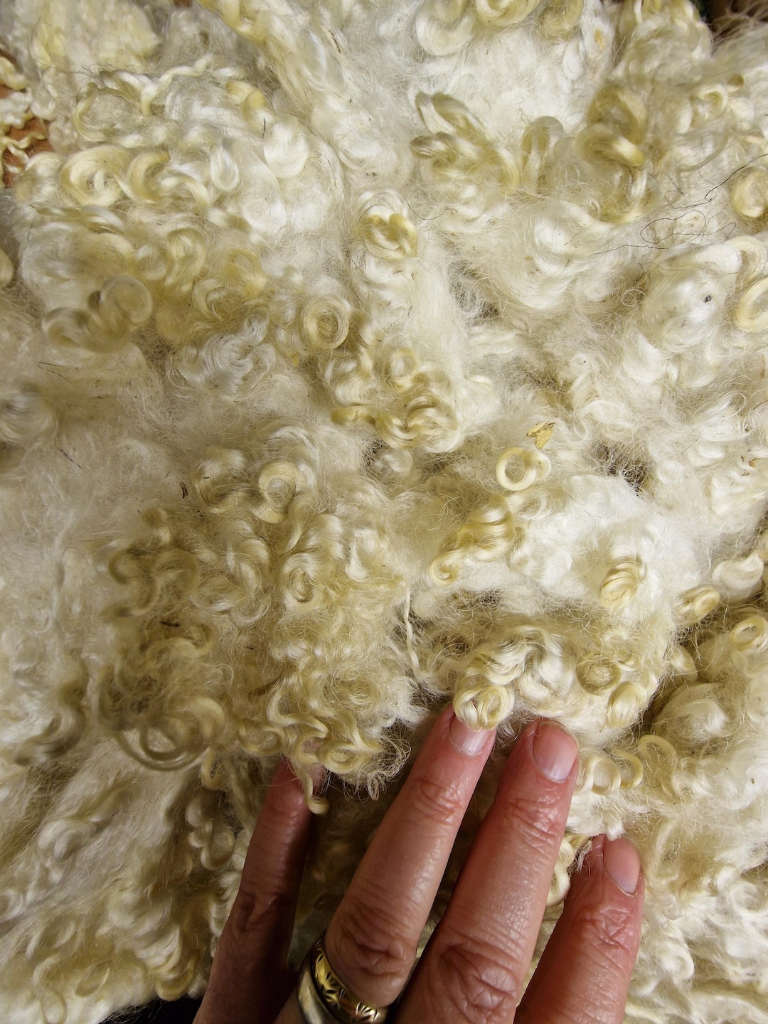 250g Curly Wool / Curly Locks / Santa Locks / White Curly Wool Felted ...