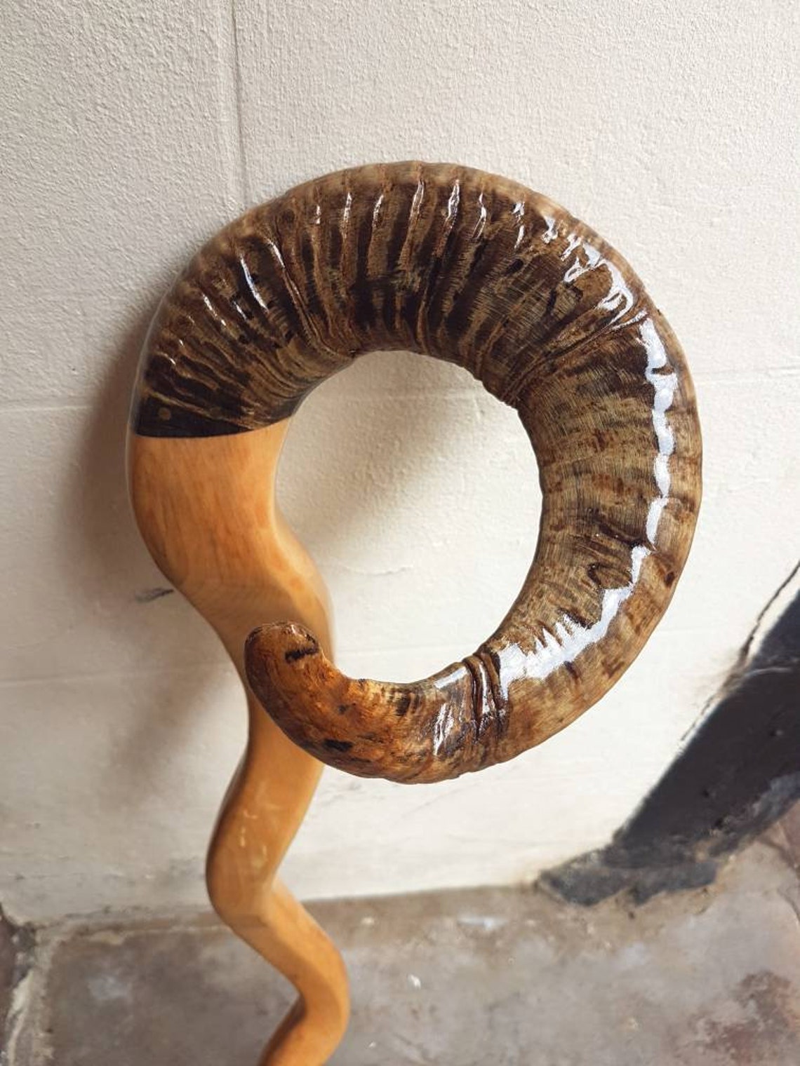 Ram Horn Walking Stick / Ram Horn Cane / Rams Horn Staff / - Etsy Canada