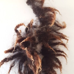 Raw Soay Sheep Fleece / 100g Chocolate Fleece / Rare Breed / Spinning ...