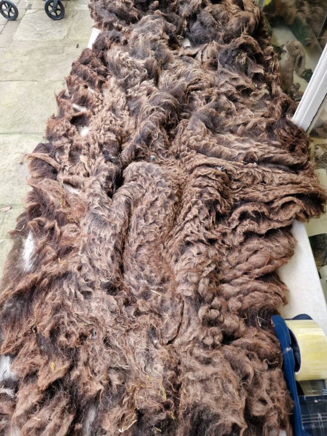 Pedigree Welsh Balwen Whole Fleece / 1kg Plus / Pedigree / - Etsy