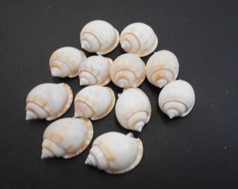 Helmet shells | Etsy