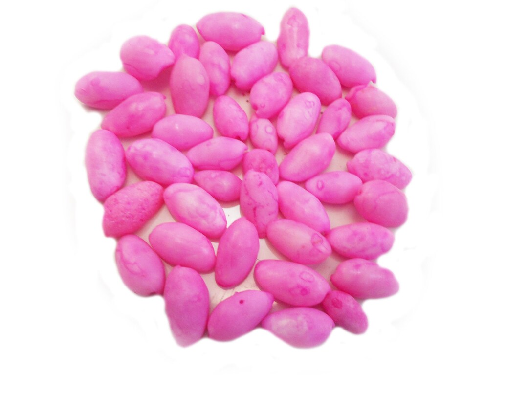 1 Lb (300+) Dyed Pink Bullet (bubble) Shells Seashells 3/4" - 1" Beach ...