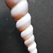 100 Purple Turretella Shells (2-3") Beach Crafts Coastal Decorating - Etsy