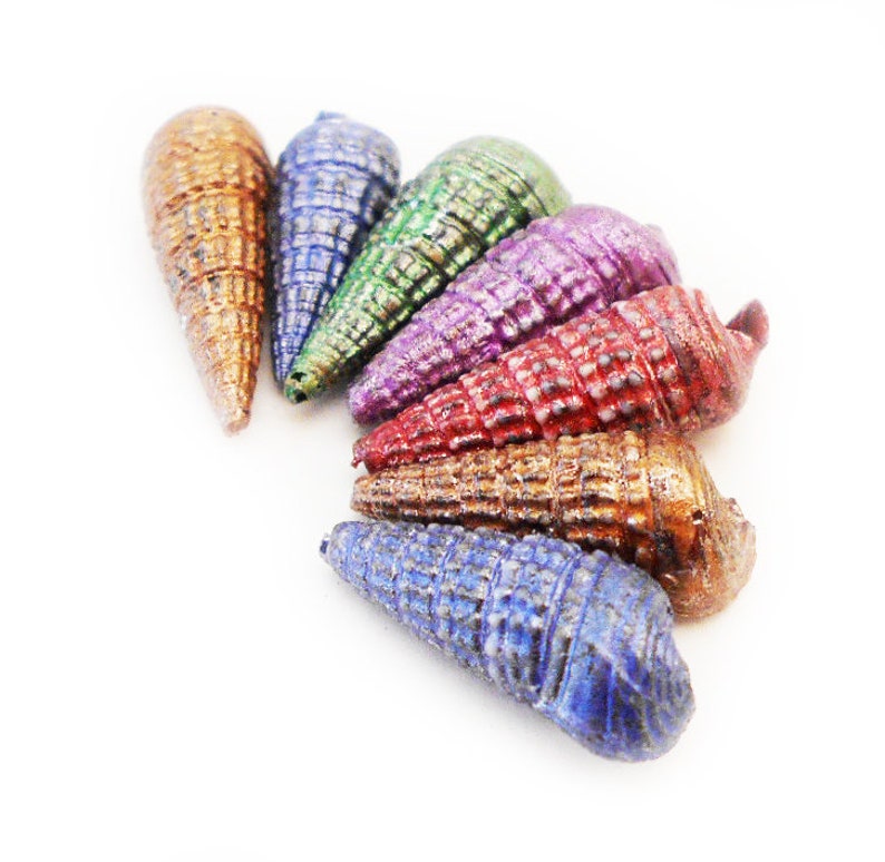 100 Tiny Painted Auger Shells 1/23/4 Beach | Etsy