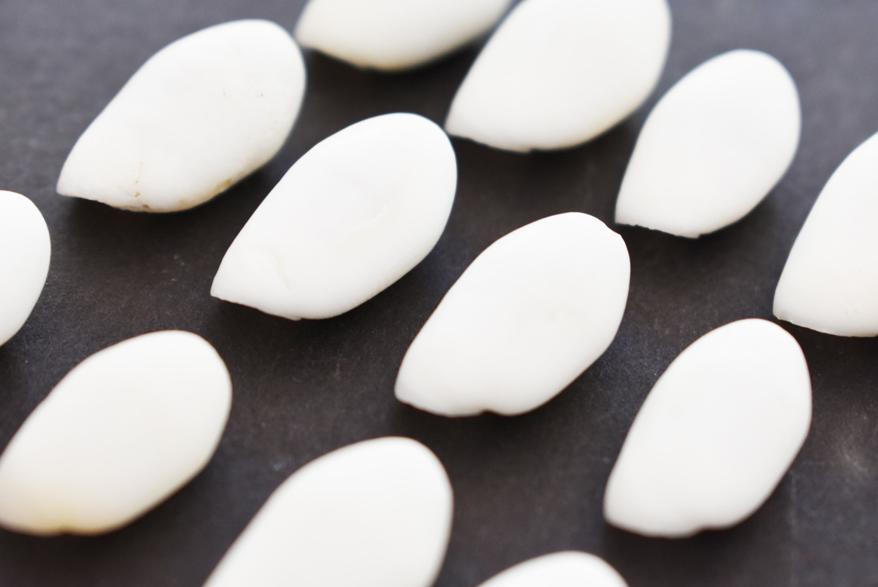 200 White Bullet (bubble) Shells Seashells 3/4" - 1" Beach Craft ...