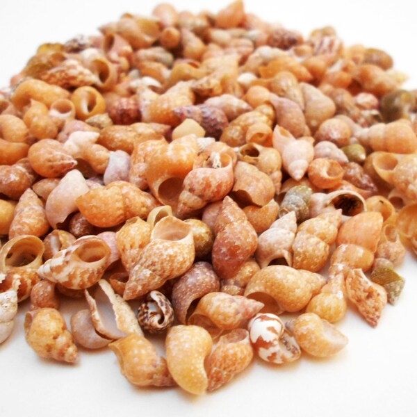 Tiny Home Decor - Etsy