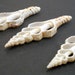 Set of 3 Center Cut Spindle Shells 5-6 White Seashell Beach Craft ...