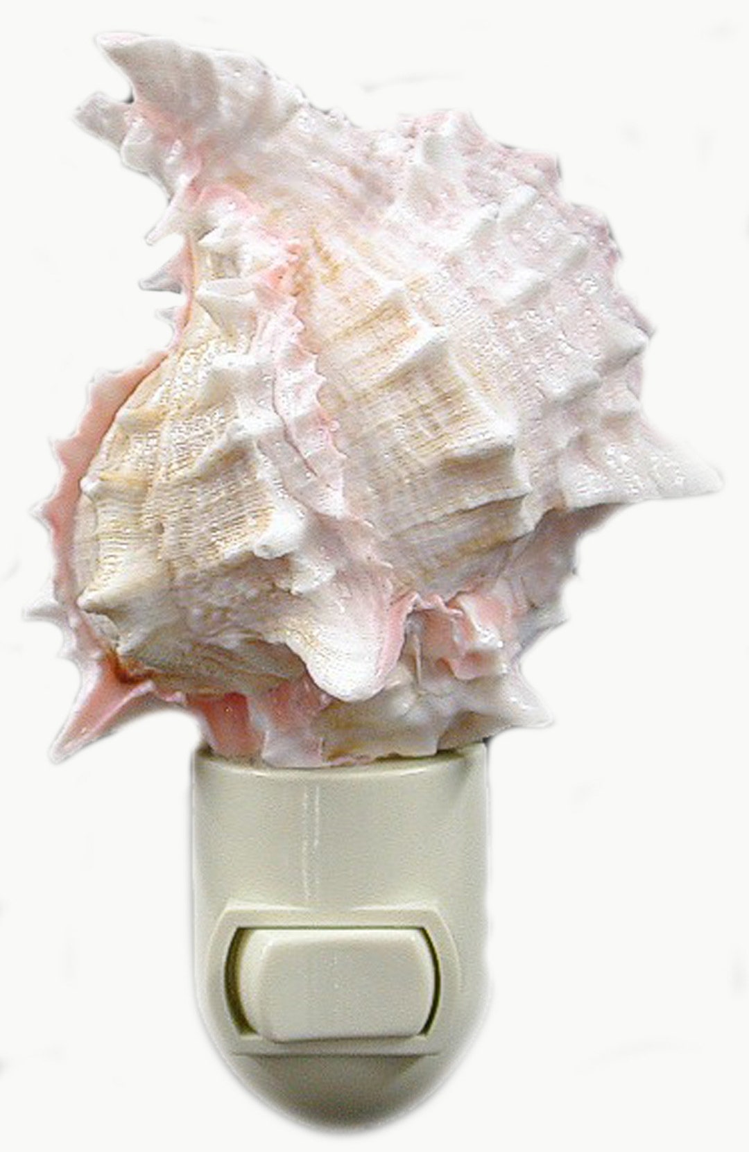 Real Seashell Night Light Pink Murex Shell Decorative Beach - Etsy