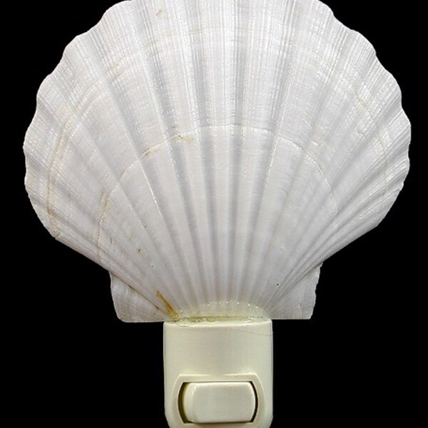 Seashell Night Light - Etsy