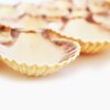 12 Mexican Flat Scallop Shells Seashells Large 3 Crafts Coastal Beach ...