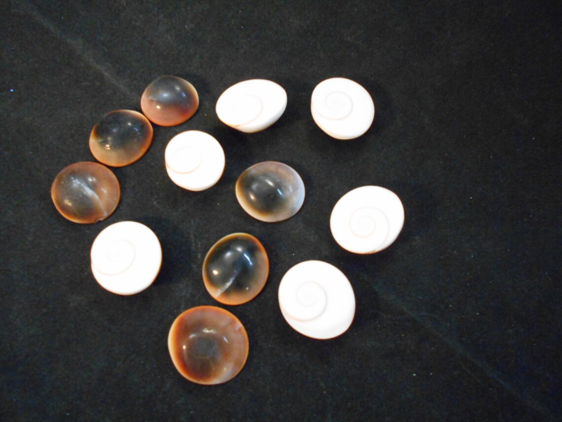 Set of 24 Red Cat Eye Shells 1/2 1 - Etsy