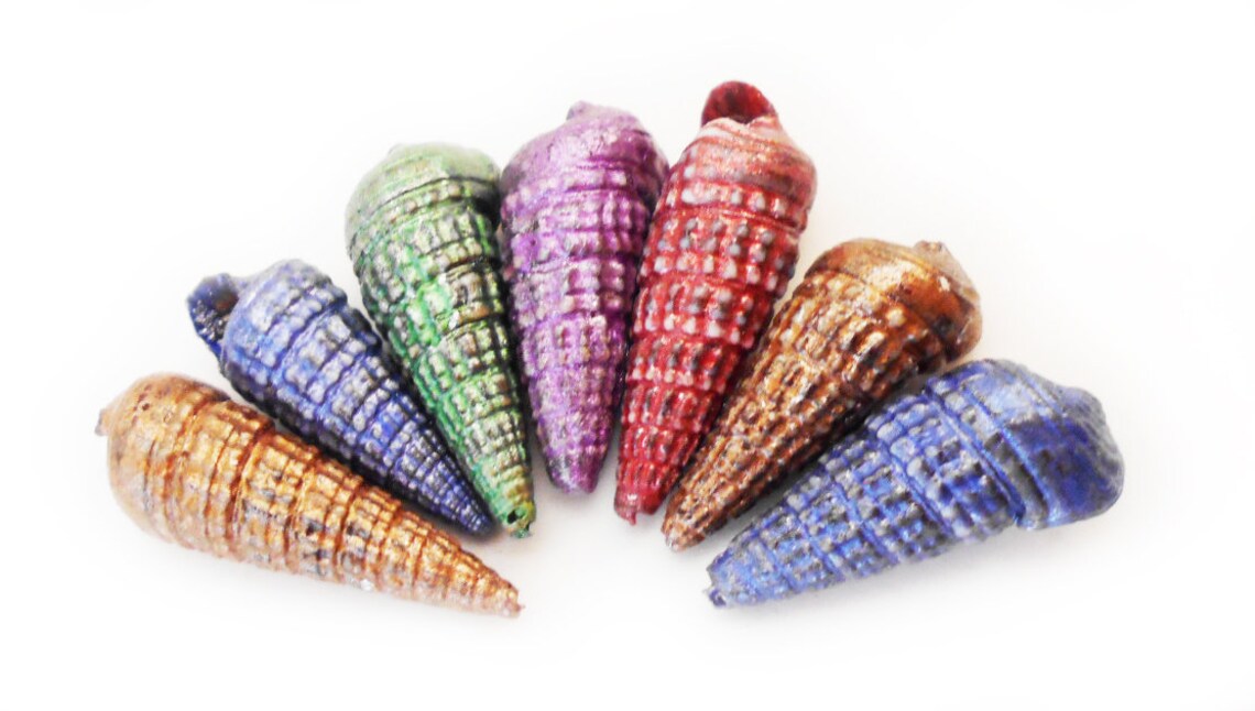 100 Tiny Painted Auger Shells 1/23/4 Beach | Etsy