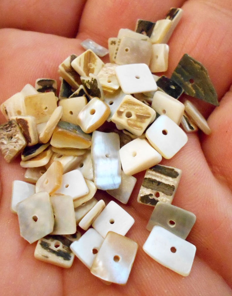 4 Oz (300-400) Genuine Oyster Shell Chips Seashell Loose Beads Drilled ...