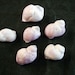 4 Oz Whole Purple Cebu Beauty Shells (about 40-50) Beach Crafts Vase ...
