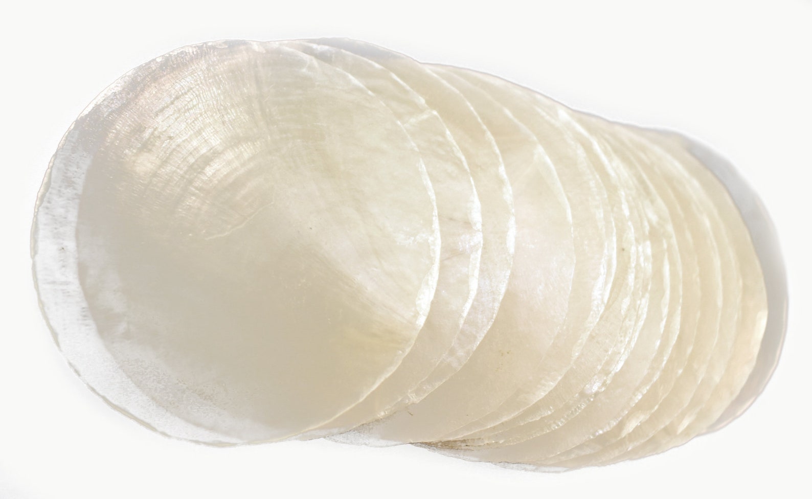 Set of 100 Drilled Capiz Shells Round Cut 2 Diameter - Etsy