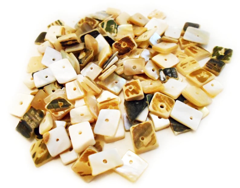 4 Oz 300-400 Genuine Oyster Shell Chips Seashell Loose Beads | Etsy