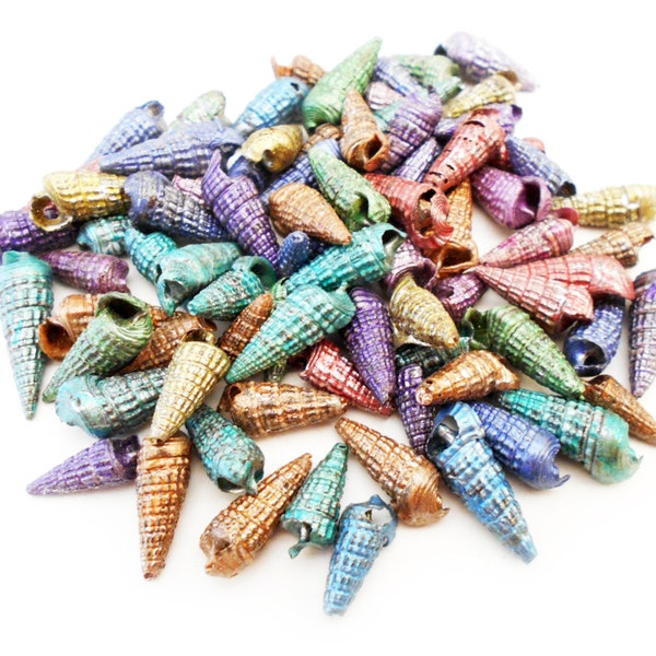 Painted Shells - Etsy