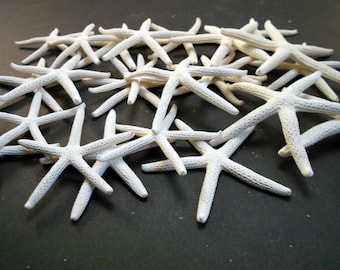 1 to 10 6 off White Finger Starfish Pencil Finger Starfish Natural ...