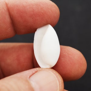 50 White Bullet (bubble) Shells Seashells 3/4" - 1" Beach Craft Wedding ...