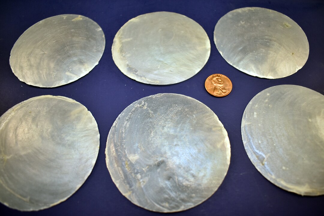 25 Large Natural Capiz Shells Round Cut - 2 1/2" Diameter for Crafts ...