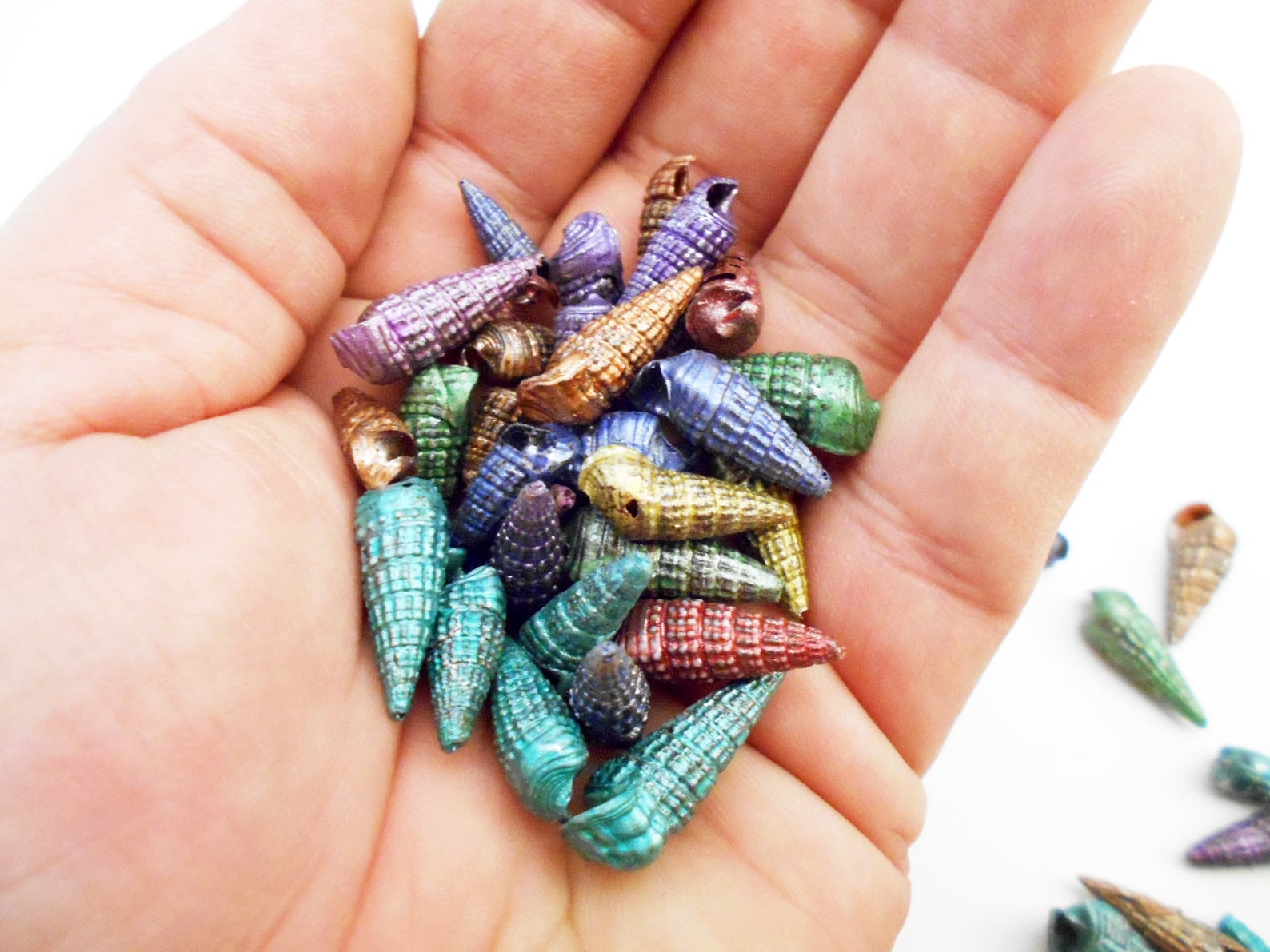 100 Tiny Painted Auger Shells 1/23/4 Beach | Etsy