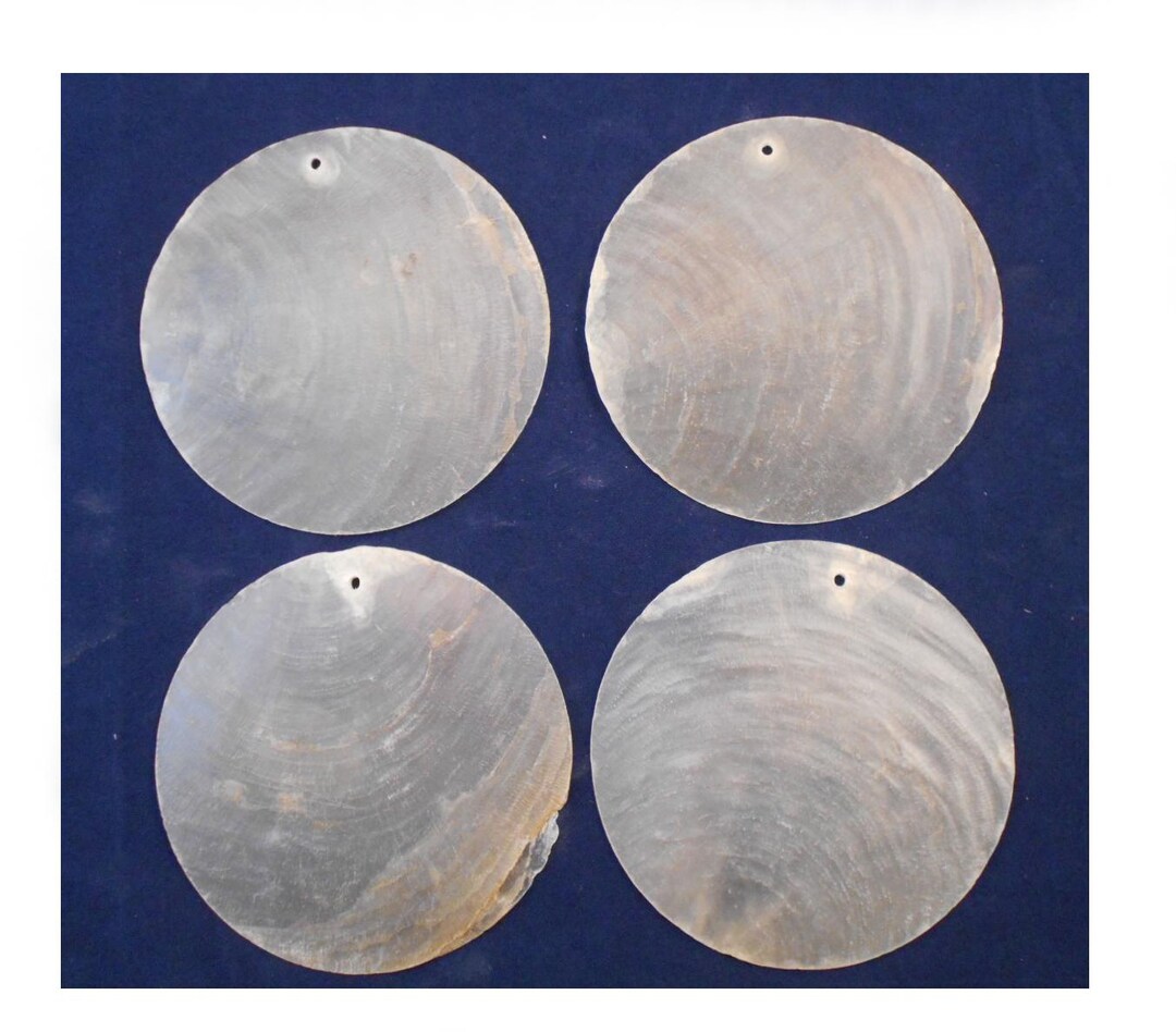 10 Large Natural Capiz Shells Round Cut - 3" Diameter for Crafts (wind ...