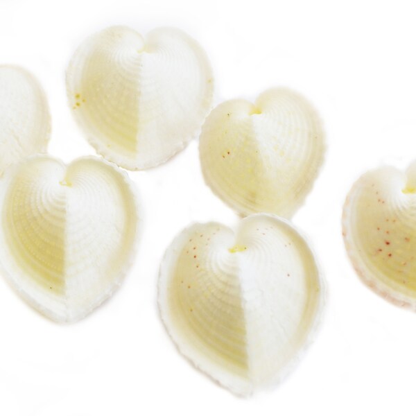 Wedding Shells - Etsy