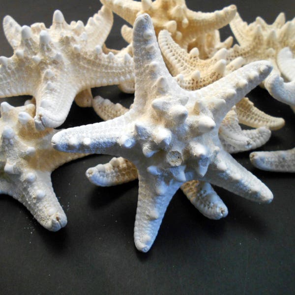 Starfish Decor - Etsy