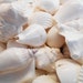 4 Lbs of Large White Seashells (gallon + / 100+ Pcs) Vase Filling Beach ...