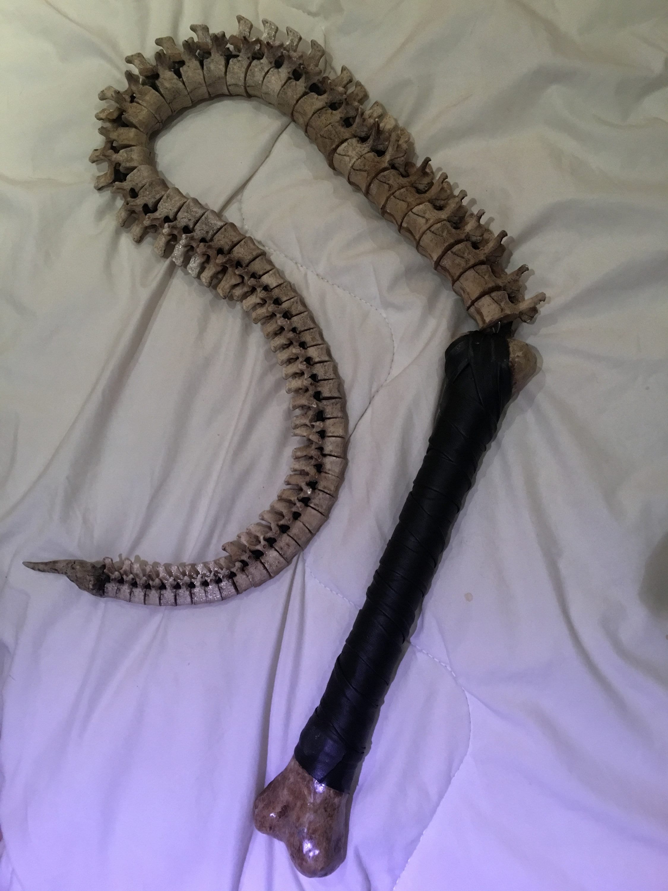 Vertebrae Whip - Etsy