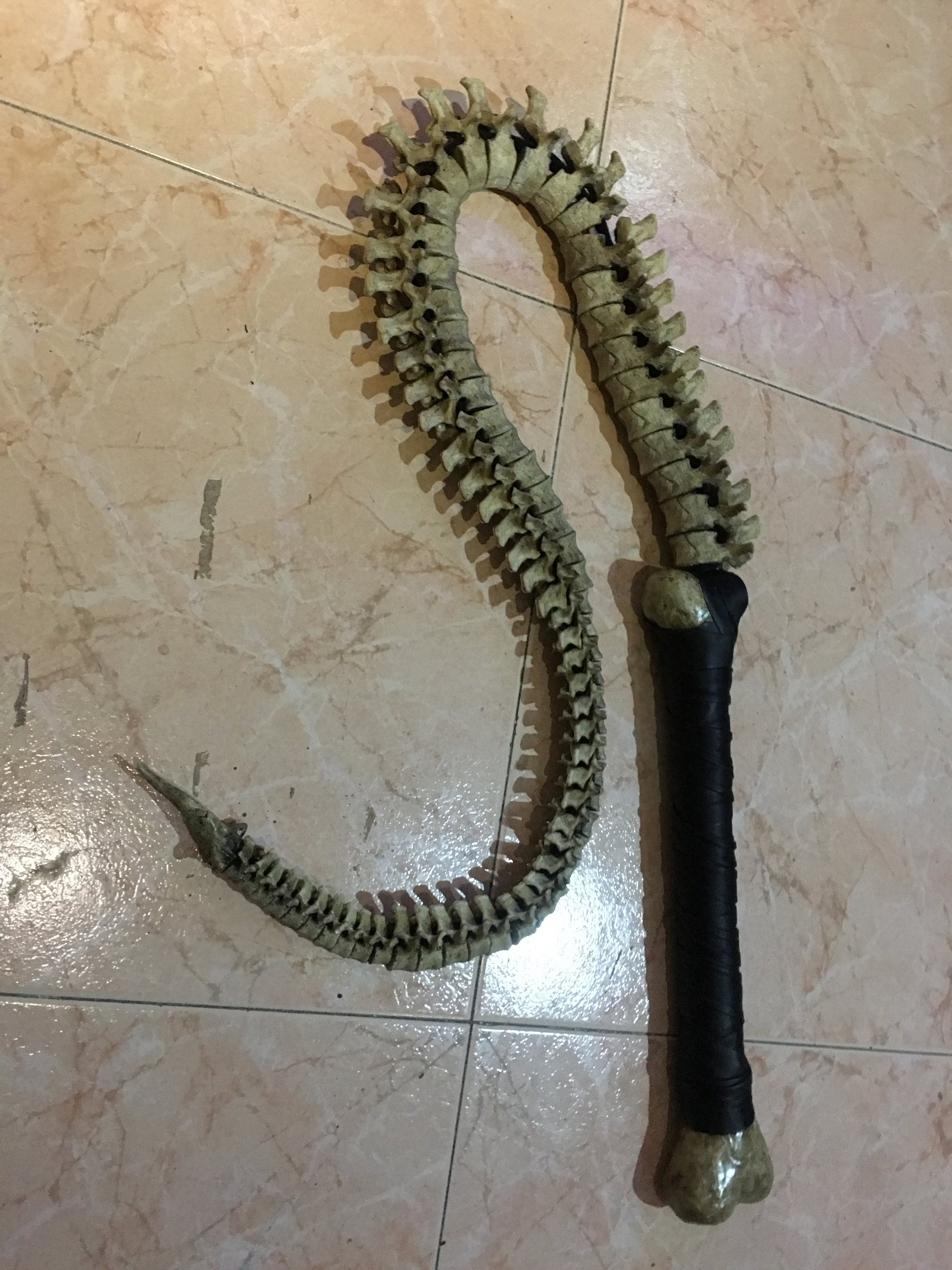 Vertebrae Whip - Etsy