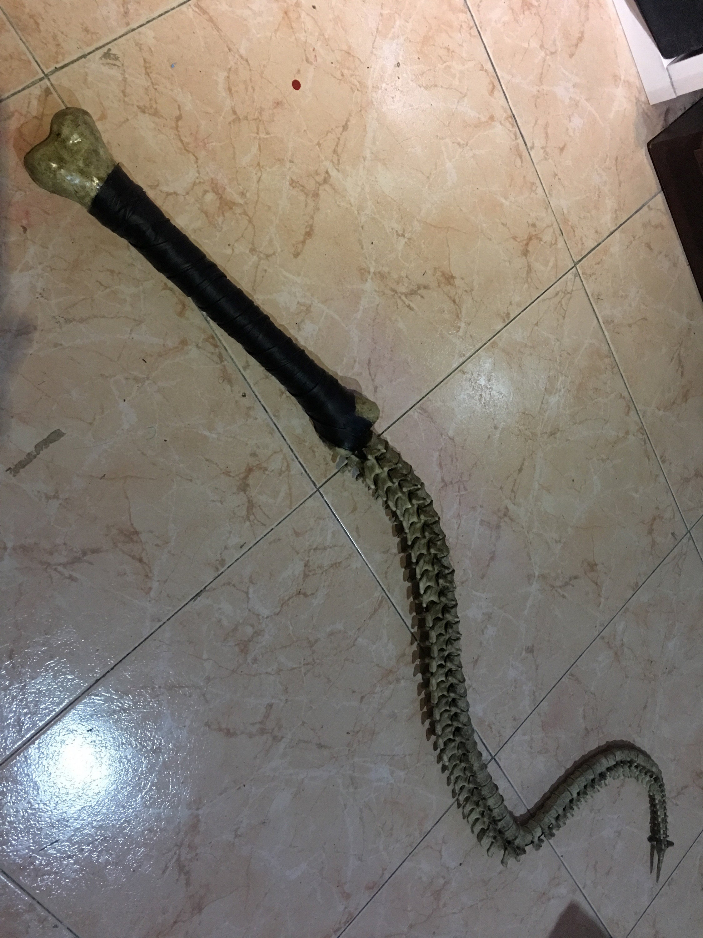 Vertebrae Whip - Etsy