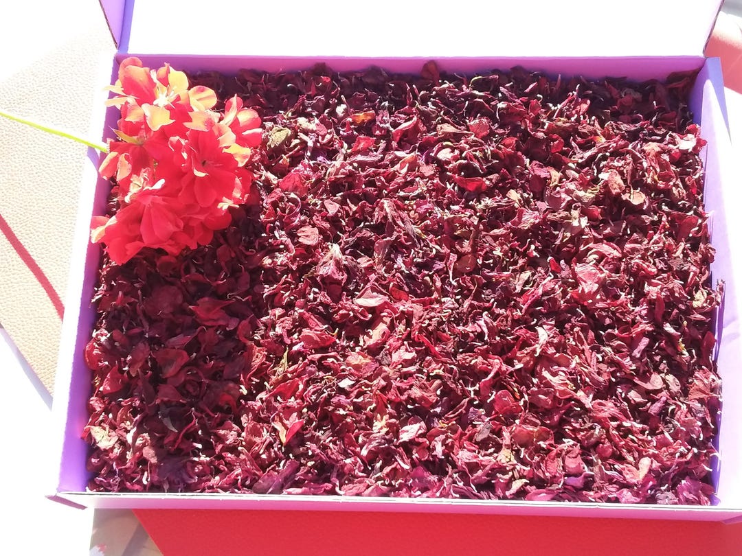 BULK Dried 3 Oz RED Geranium Petals dried Red Geranium Petals Dried ...