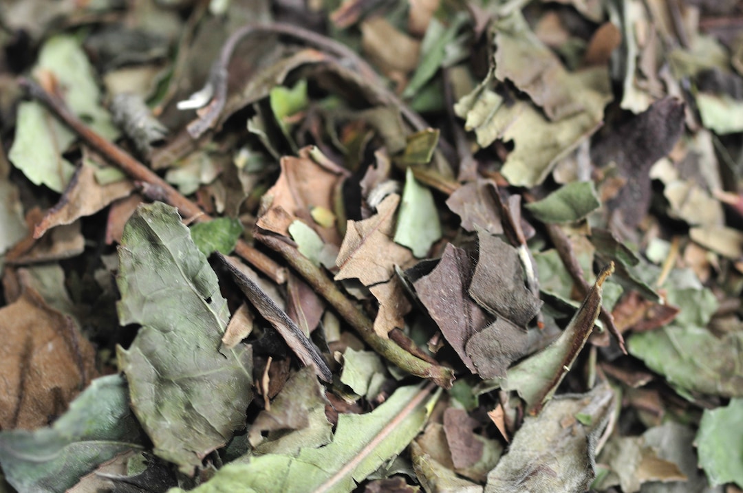 King's Traditions | White Peony Tea | Artisan Loose Leaf Tea | Premium ...