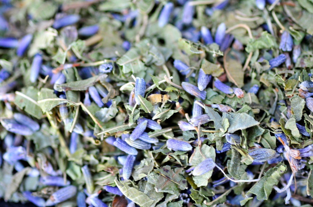 Queen's Favorite Herbal Infusion | Organic Lavender & Lemon Verbena ...