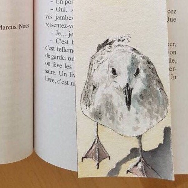 Seagull Photo - Etsy