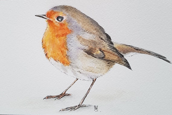 Drawings Of Robin Birds