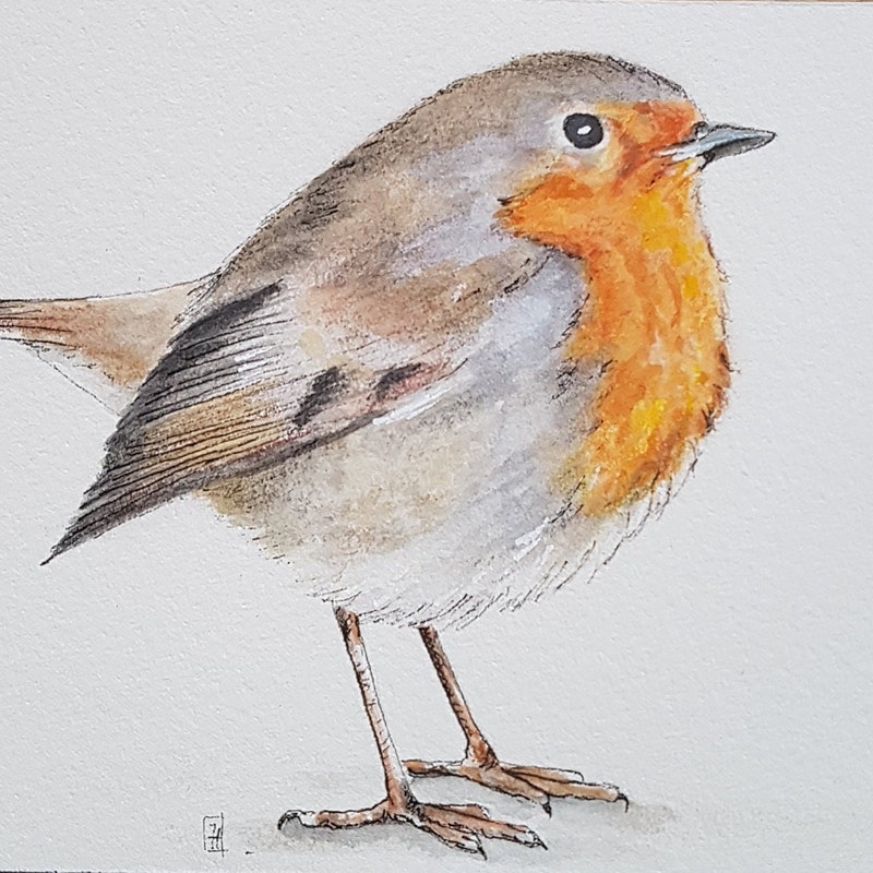 Robin Watercolor - Etsy