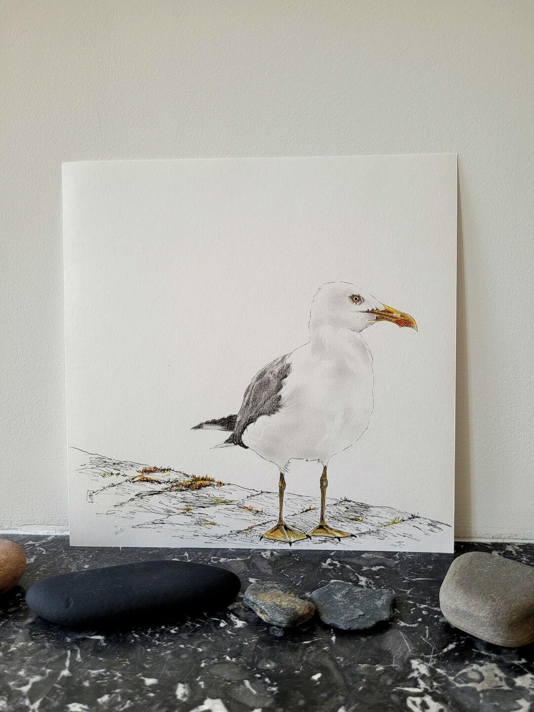 Original Drawing and Watercolor | Seabird, Seagull | Square Format ...